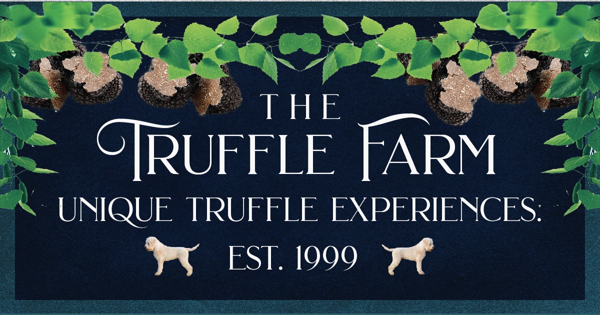 About Us - The Truffle Farm
