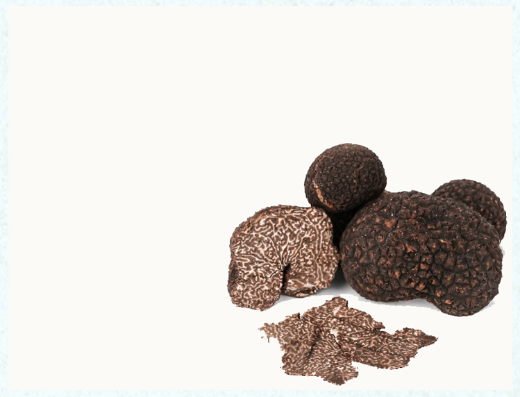 Lagotto Romagnolo Puppies, Dog Breeders & Truffle Farmers - The Truffle ...