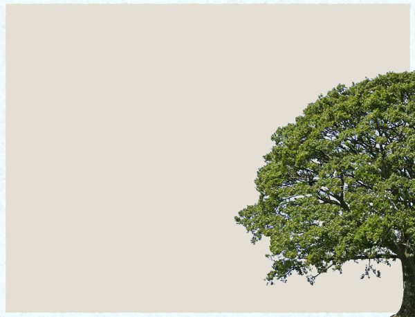 The Truffle Farm Online Store - The Truffle Farm